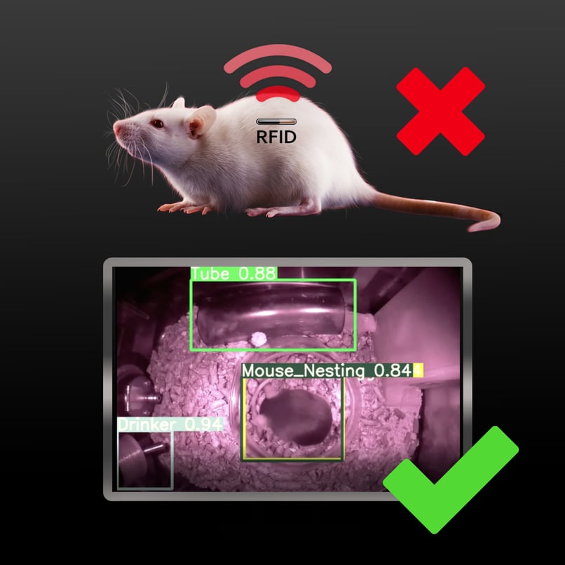 Why Video Monitoring Trumps RFID Chips